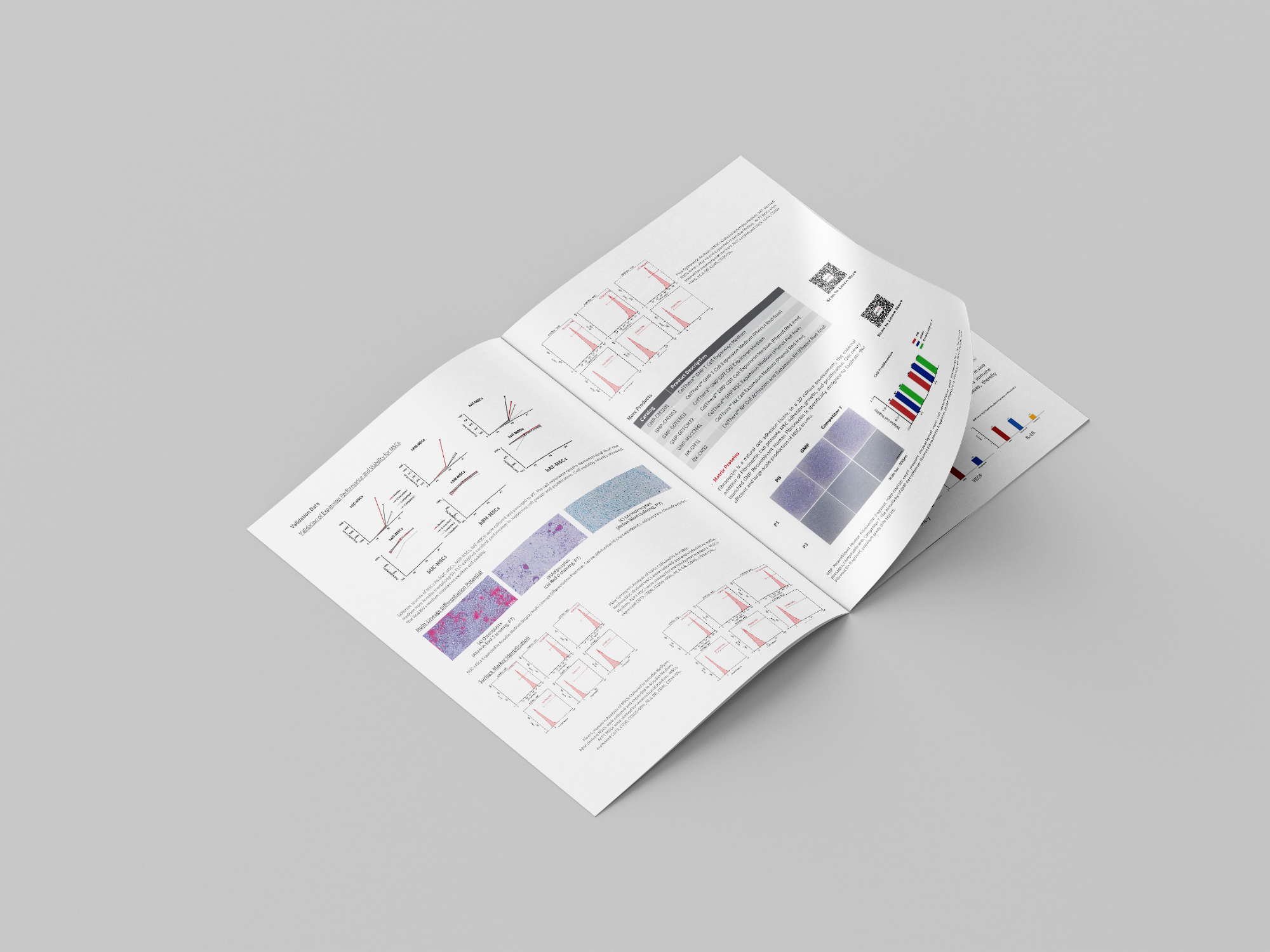 eBook: Integrated solutions for mesenchymal stem cell research and ...