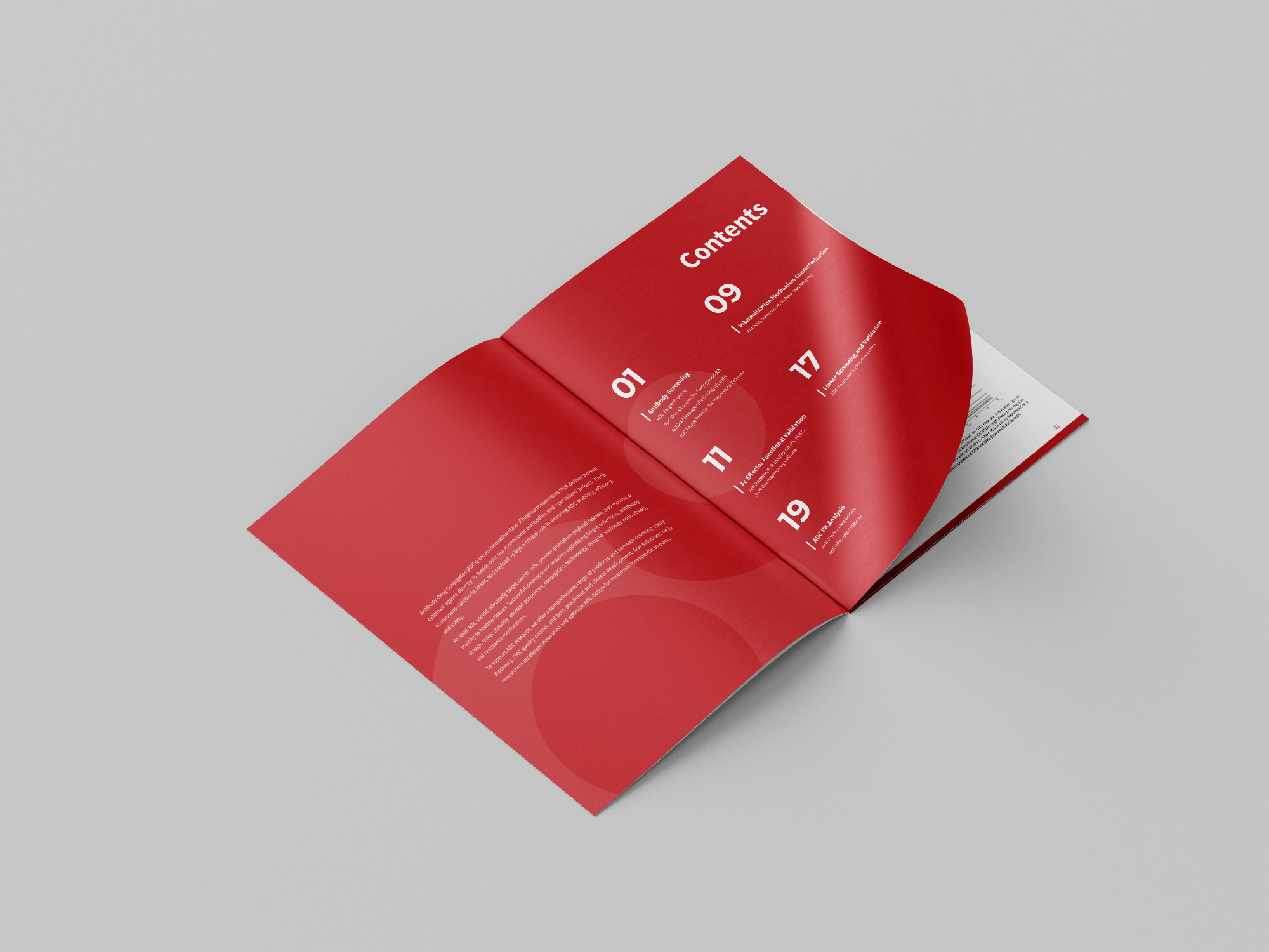 eBook: End-to-end solutions for antibody-drug conjugate development | eBook