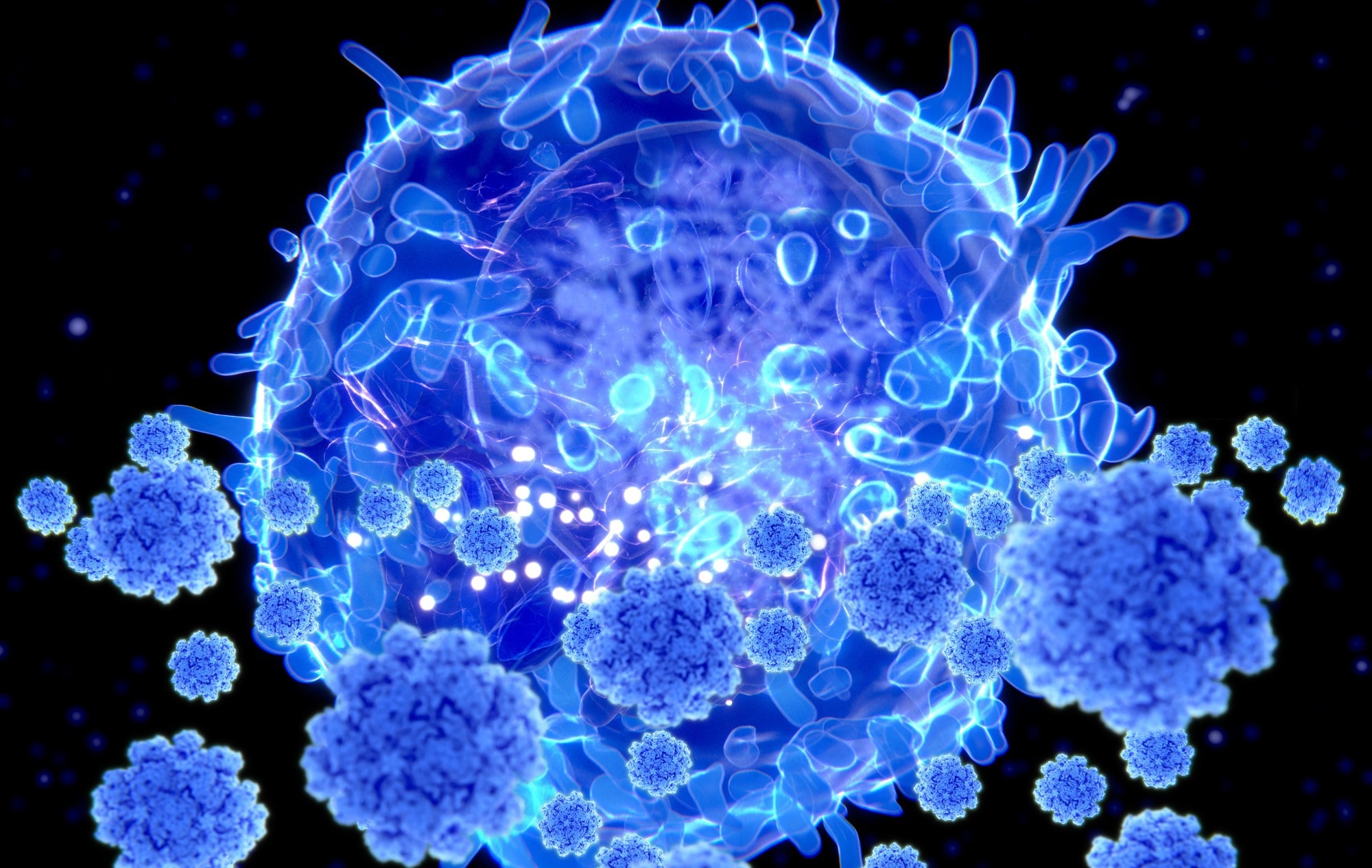 Aged immune cells may drive memory decline by releasing a brain-aging ...
